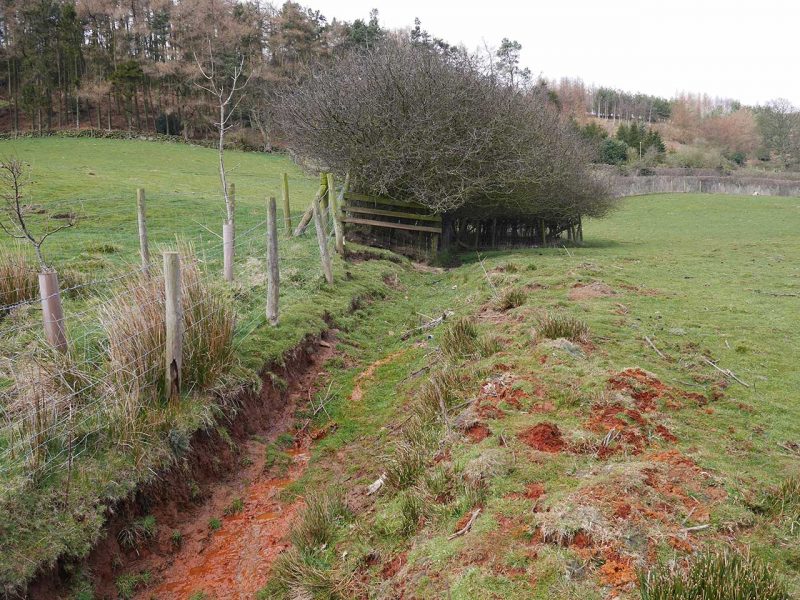 Redwall | Hanging Stones